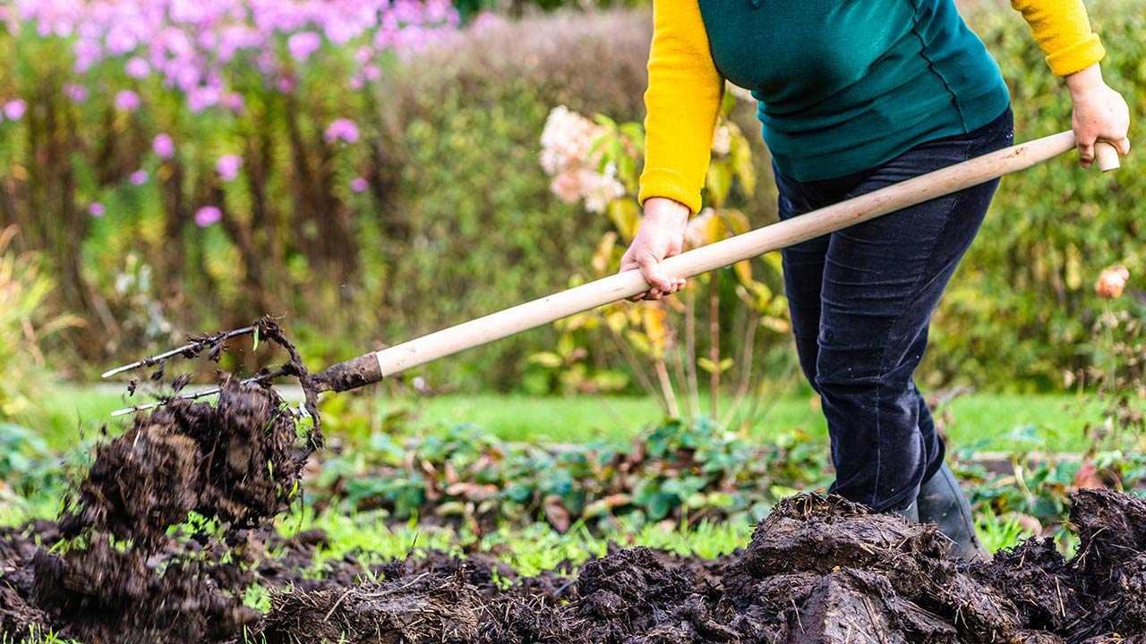 » The Role of Soil Cover in Home Cultivation Preparation